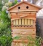 How Does A Flow Hive Work? Pros and Cons