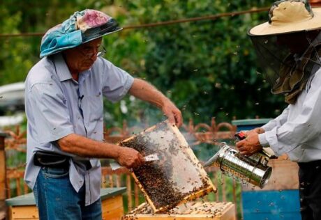20 Most Used Beekeeping Equipment: Tools Needed for Bee Farming